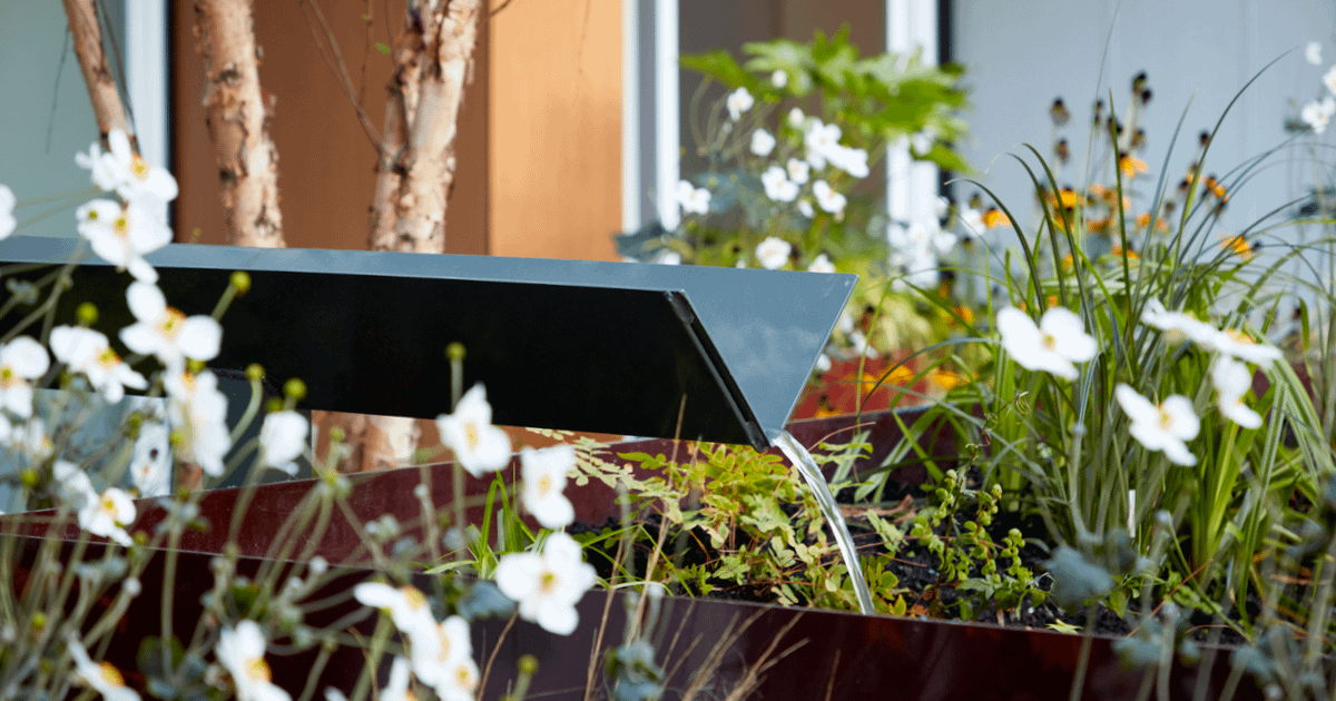 Stormwater Code – Seattle’s Latest Updates and Impacts