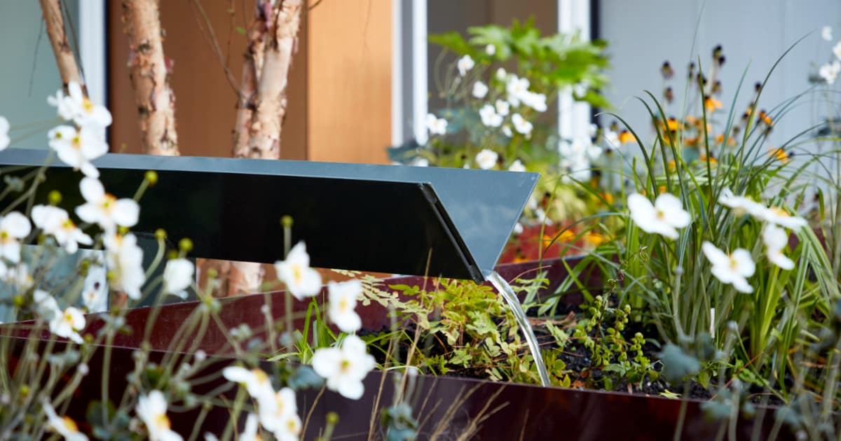 Stormwater Code – Seattle’s Latest Updates and Impacts