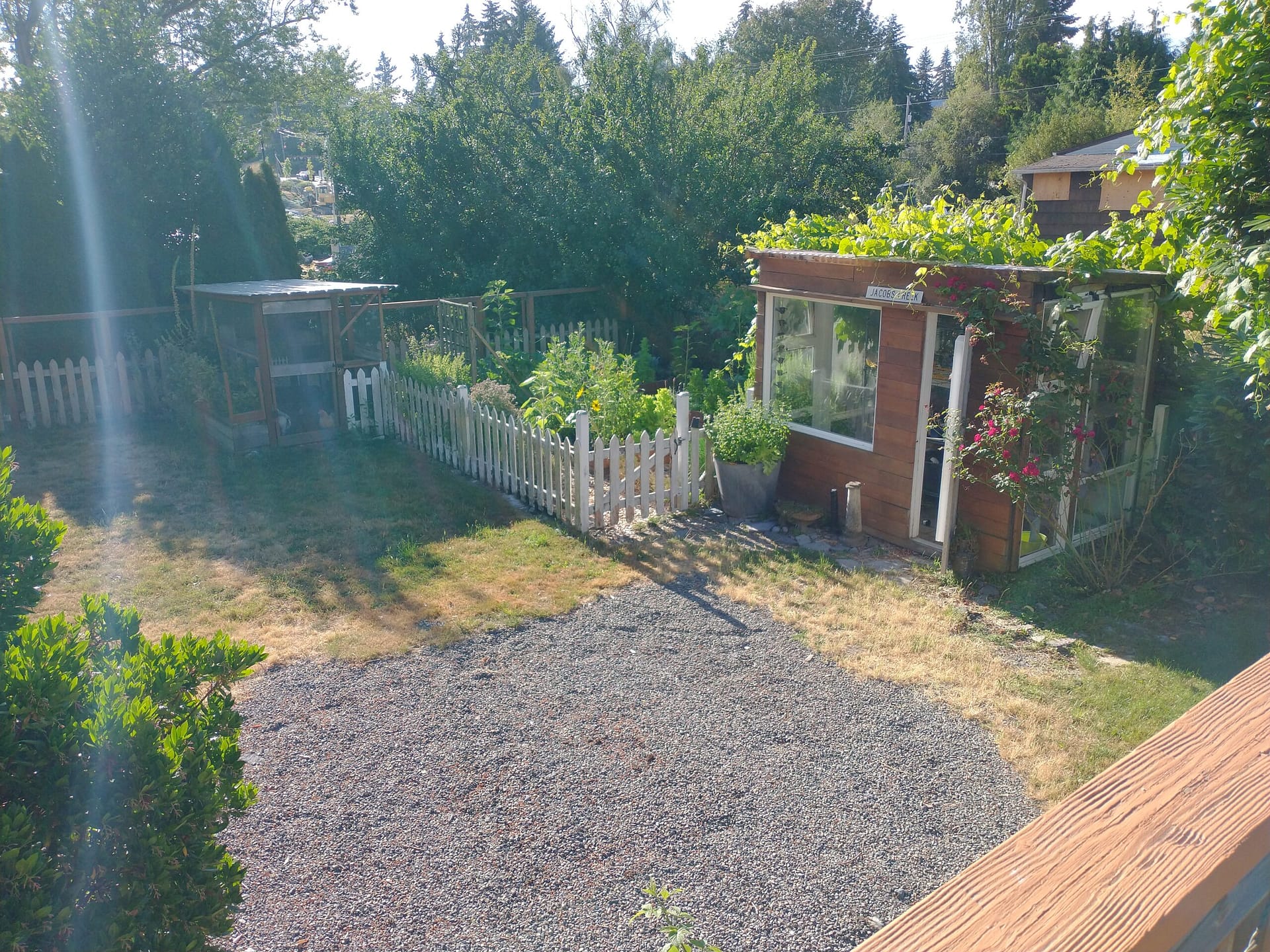 How Does Your Garden Grow? A peek at our backyard projects, DIYs and ...