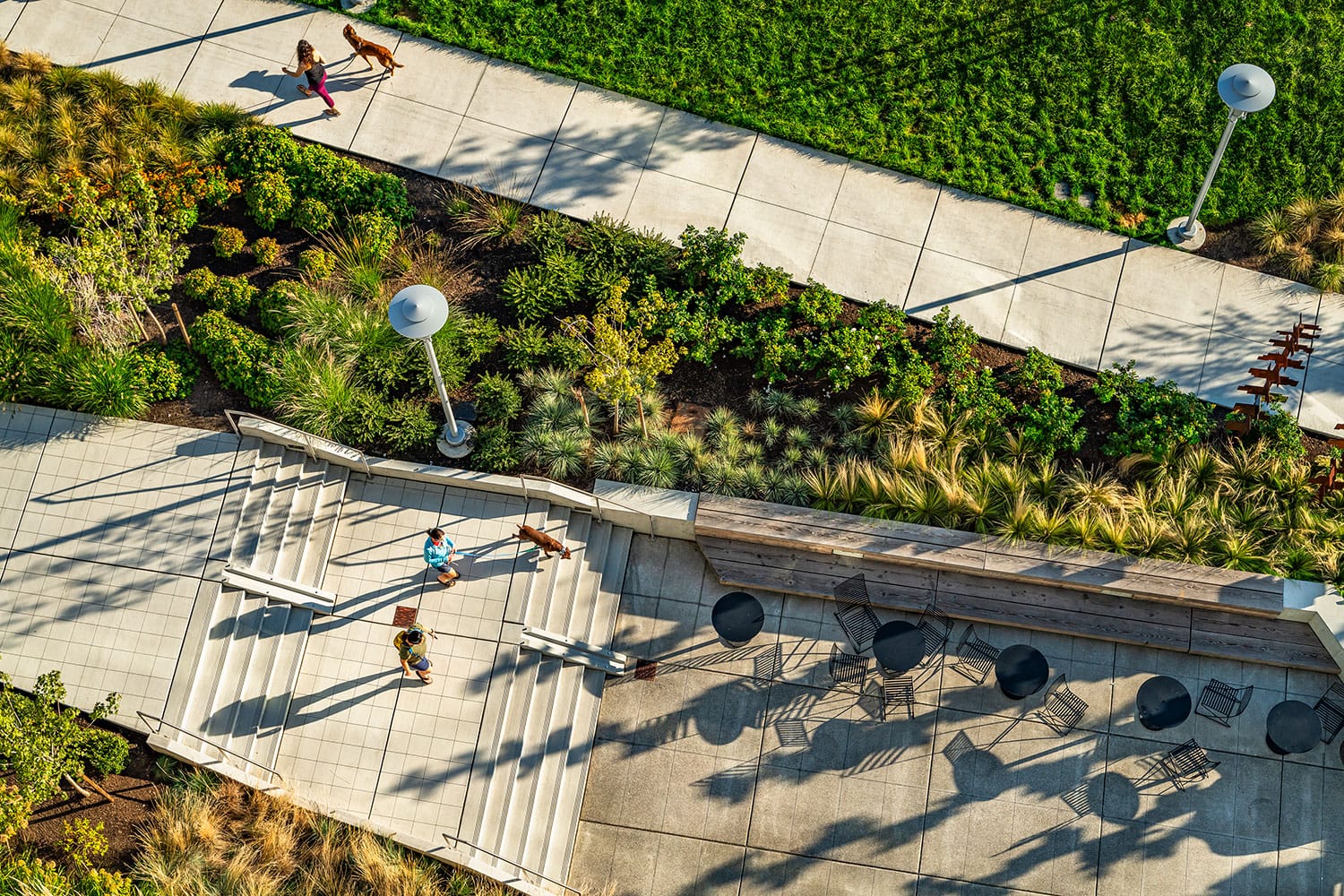 Features We Love: Parks at Our Front Doors